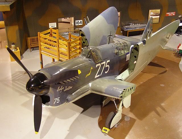 Firefly & Barracuda